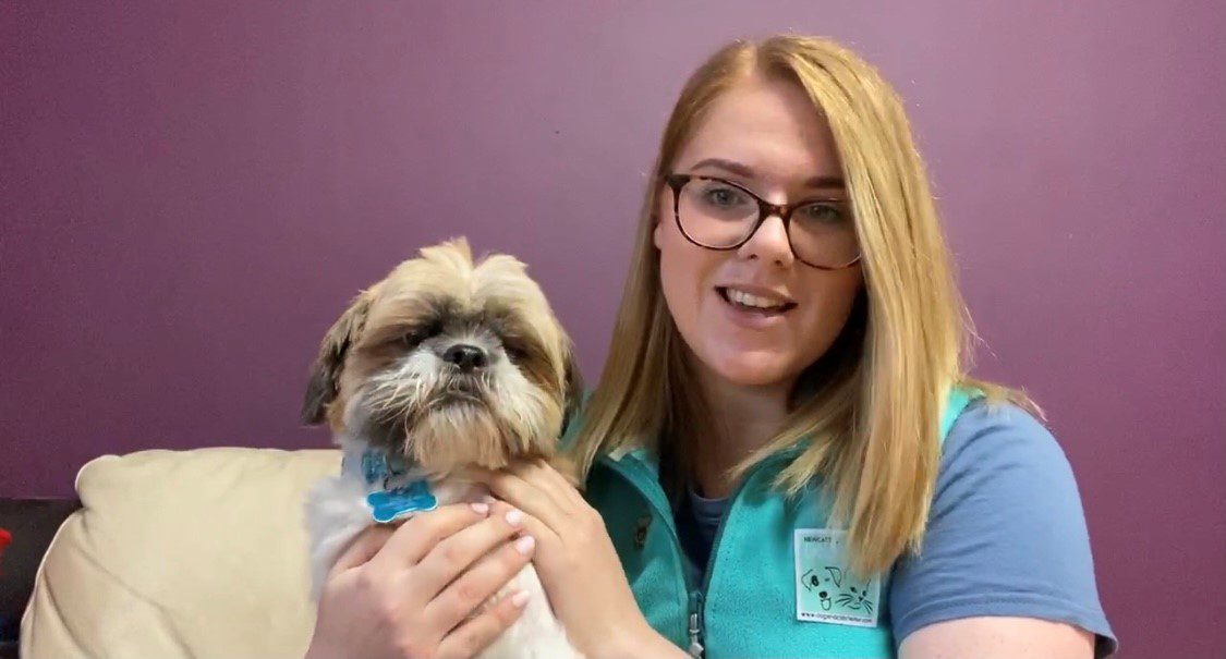 Speaker Profile | Beth Codling | Fundraising Everywhere